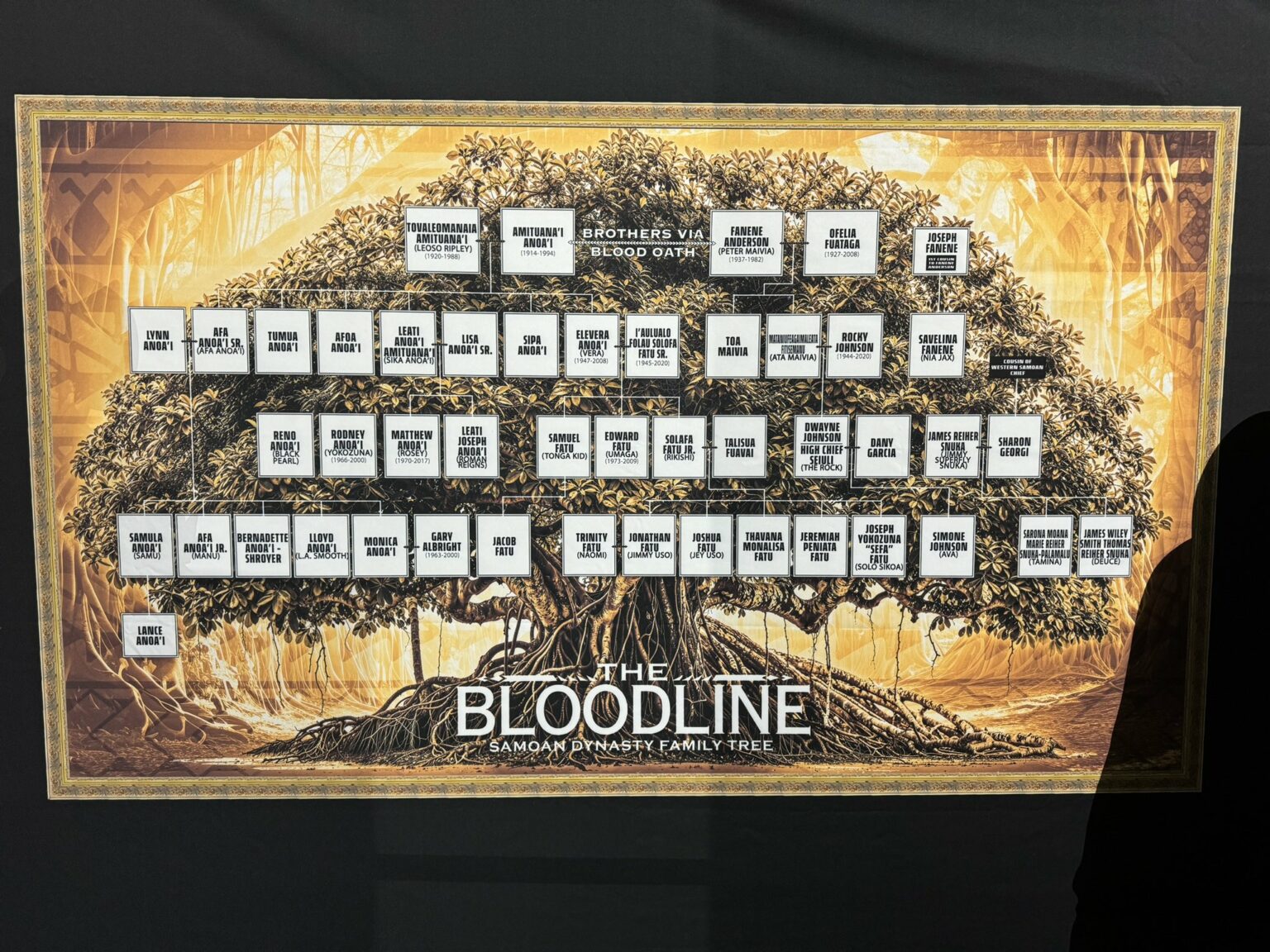 The Bloodline Samoan Dynasty Family Tree - STRENGTH FIGHTER