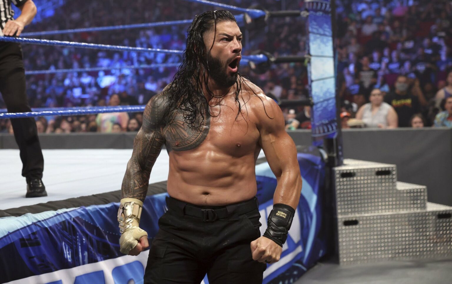 How to Train to Become a WWE Wrestler: A Comprehensive Guide - STRENGTH ...